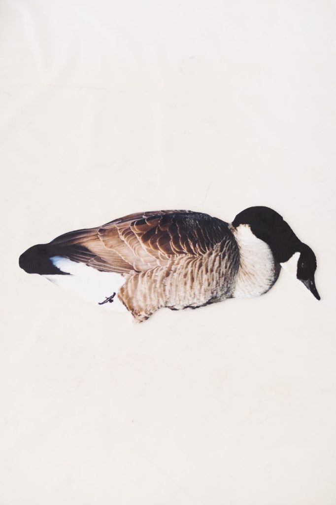 Canadian Goose Decoys | Committed Waterfowl